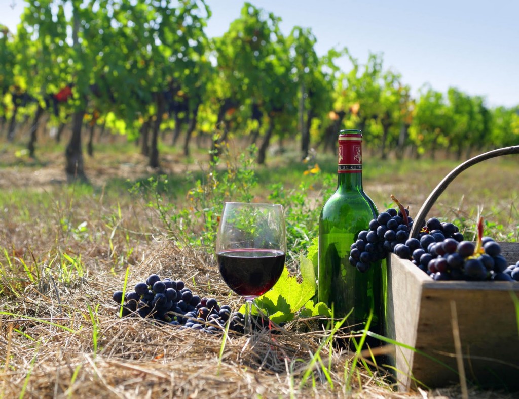 Wine Festival in Areni Village • Travel Armenia Blog
